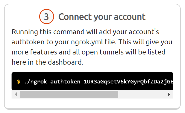 How do I use ngrok on the BB-400? - Brainboxes